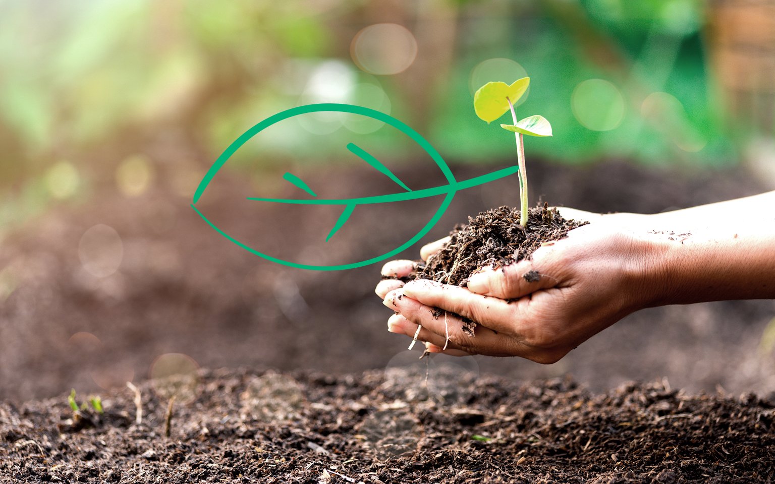 Pět způsobů, jak vytvořit ekologickou kancelář | Kyocera